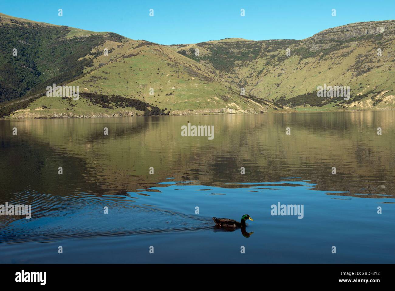 Forsyth island hi-res stock photography and images - Alamy