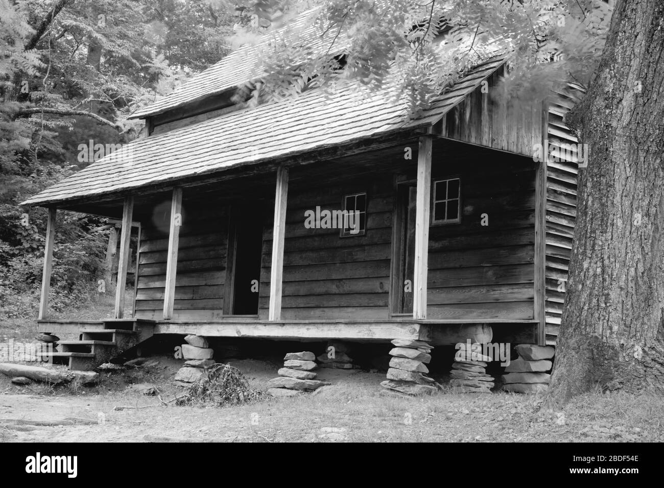 Path to Log Cabin in the Woods Stock Photo - Alamy