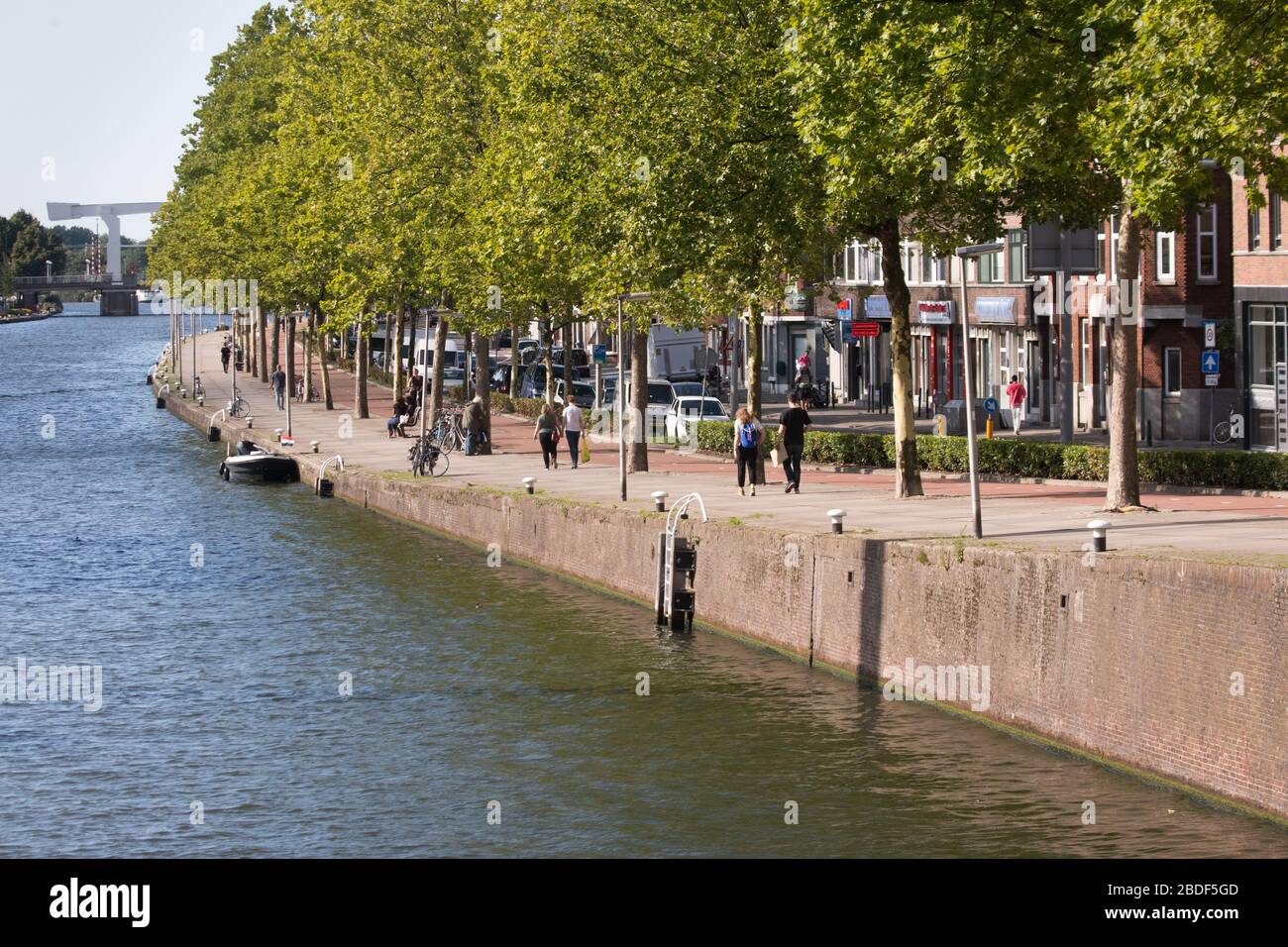 Canalside tree hi-res stock photography and images - Alamy
