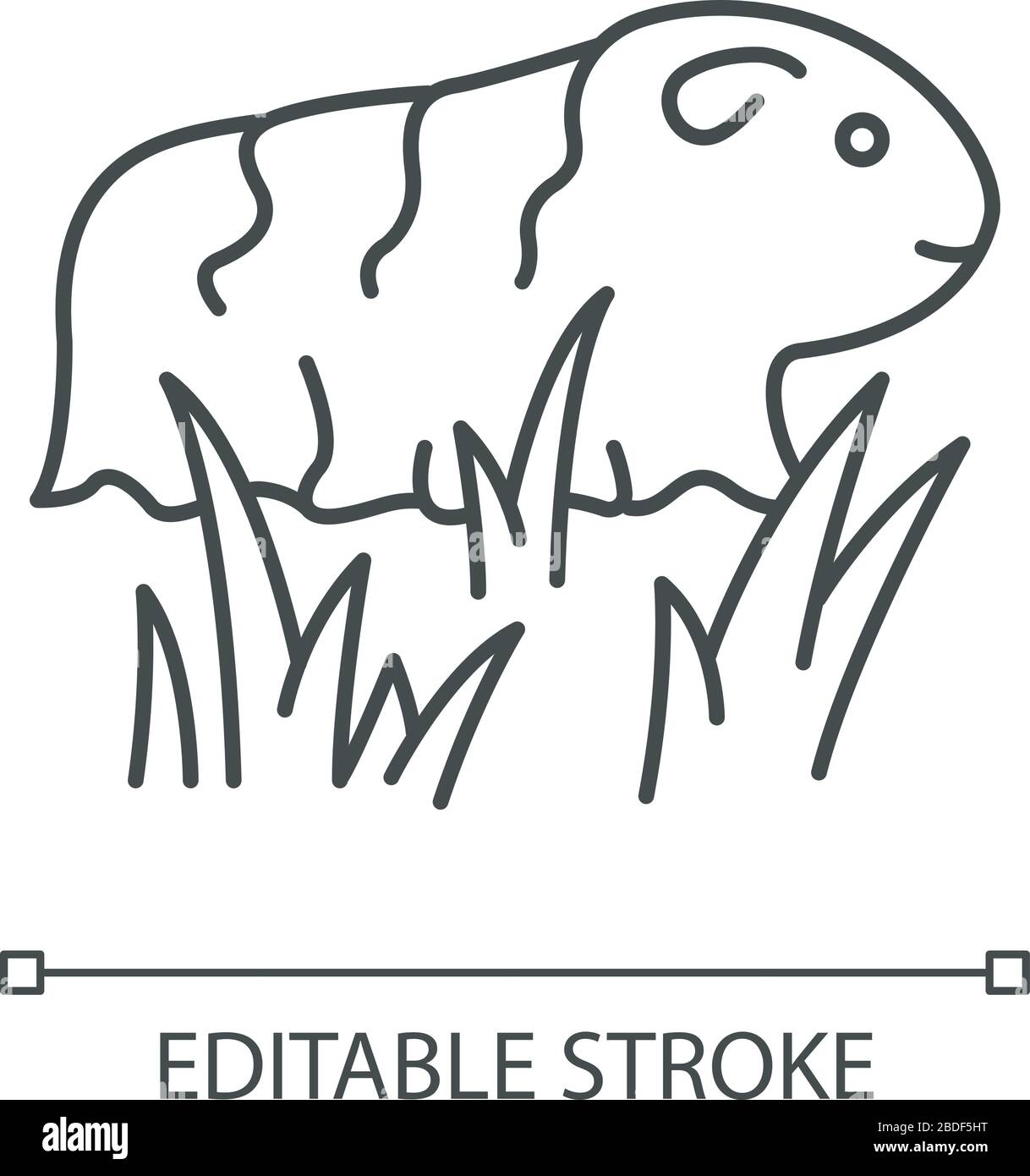 Guinea pig pixel perfect linear icon. Shaggy rodent in grass. Local ...