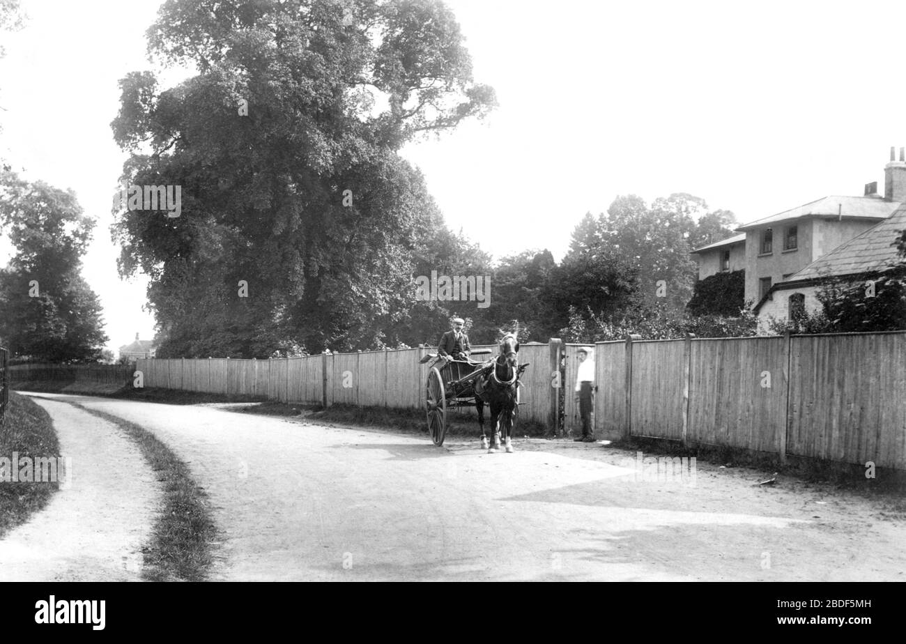 Little Bookham, Village 1904 Stock Photo - Alamy