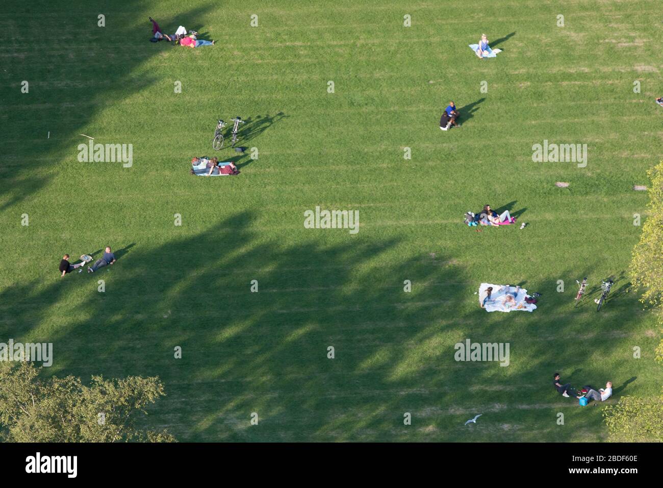Het park rotterdam hi-res stock photography and images - Alamy