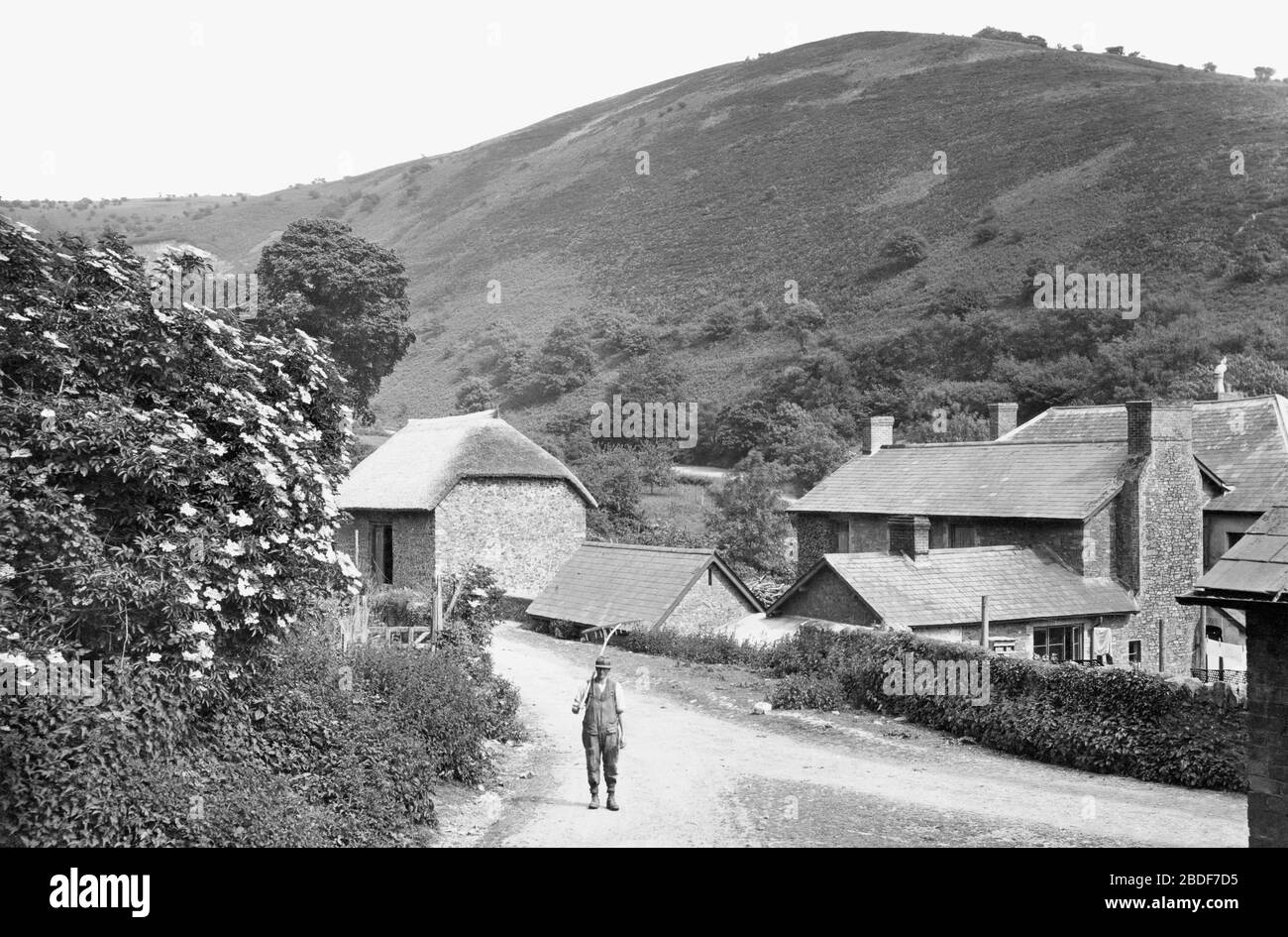 Triscombe, the Quantocks, Wills Neck 1929 Stock Photo - Alamy