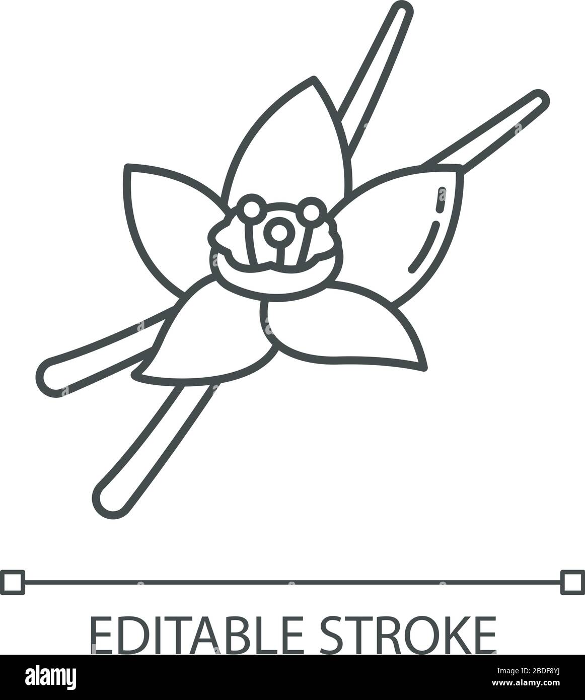 Vanilla pixel perfect linear icon. Aromatic flower and pods of vanilla ...