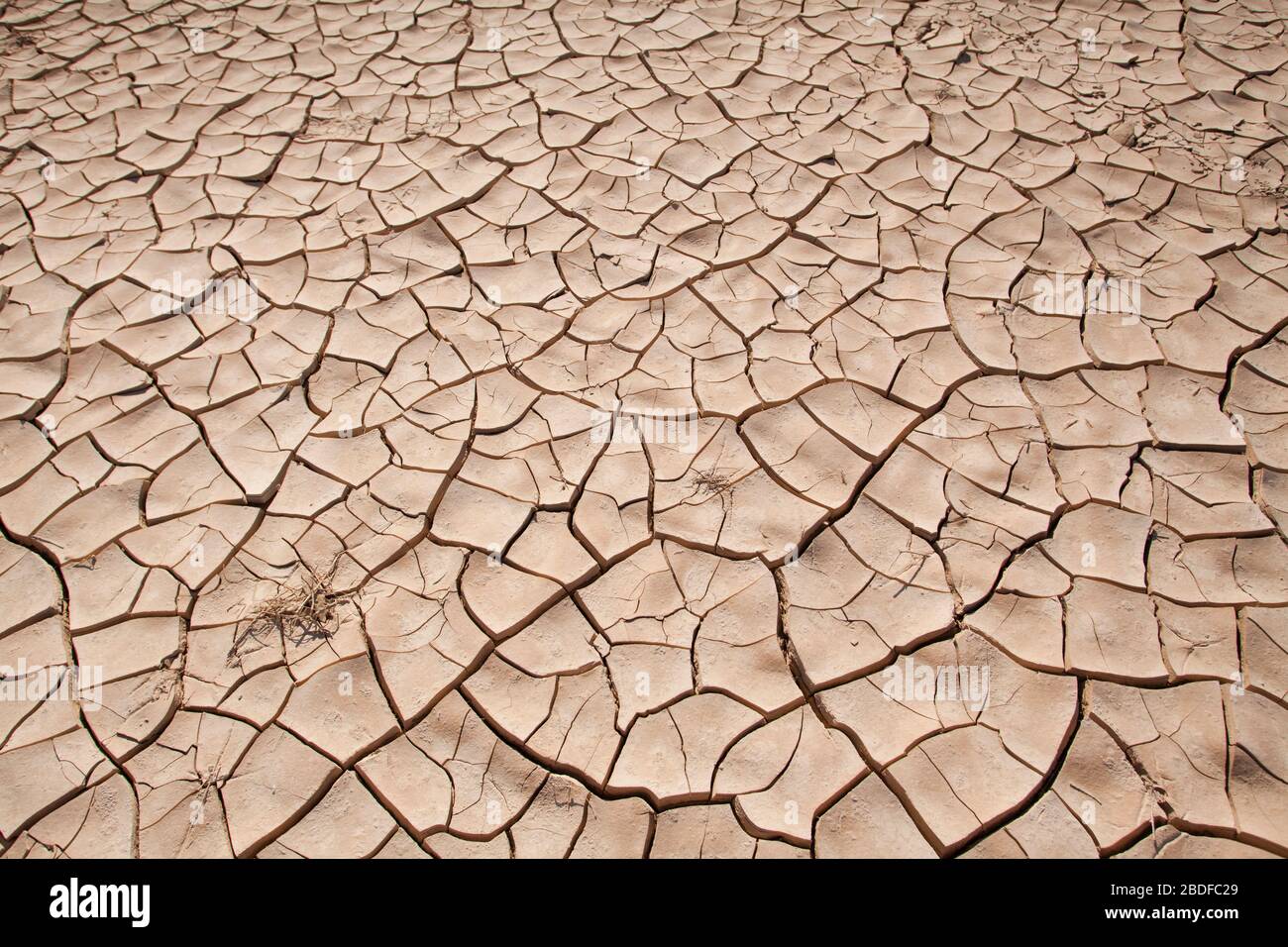 Deserted desert soil Stock Photo - Alamy