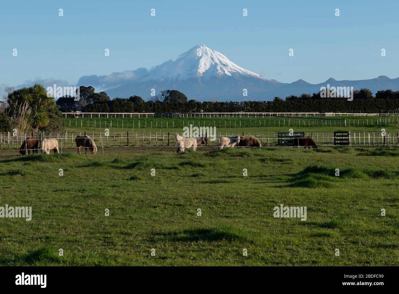 Mount taranaki farm hi-res stock photography and images - Alamy
