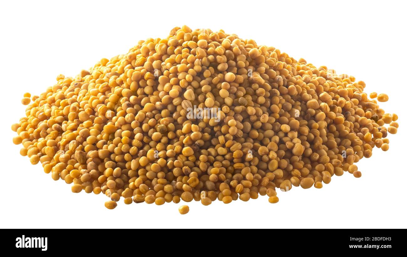 Pile of whole dried mustard seeds (Sinapis alba), isolated Stock Photo ...