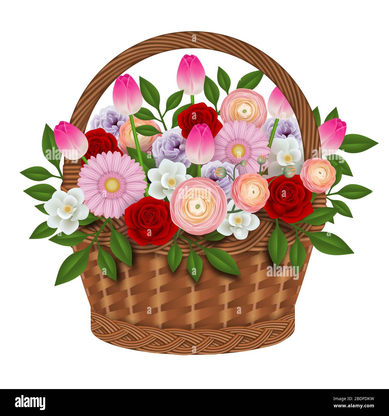 Tulips gerberas Cut Out Stock Images & Pictures - Alamy