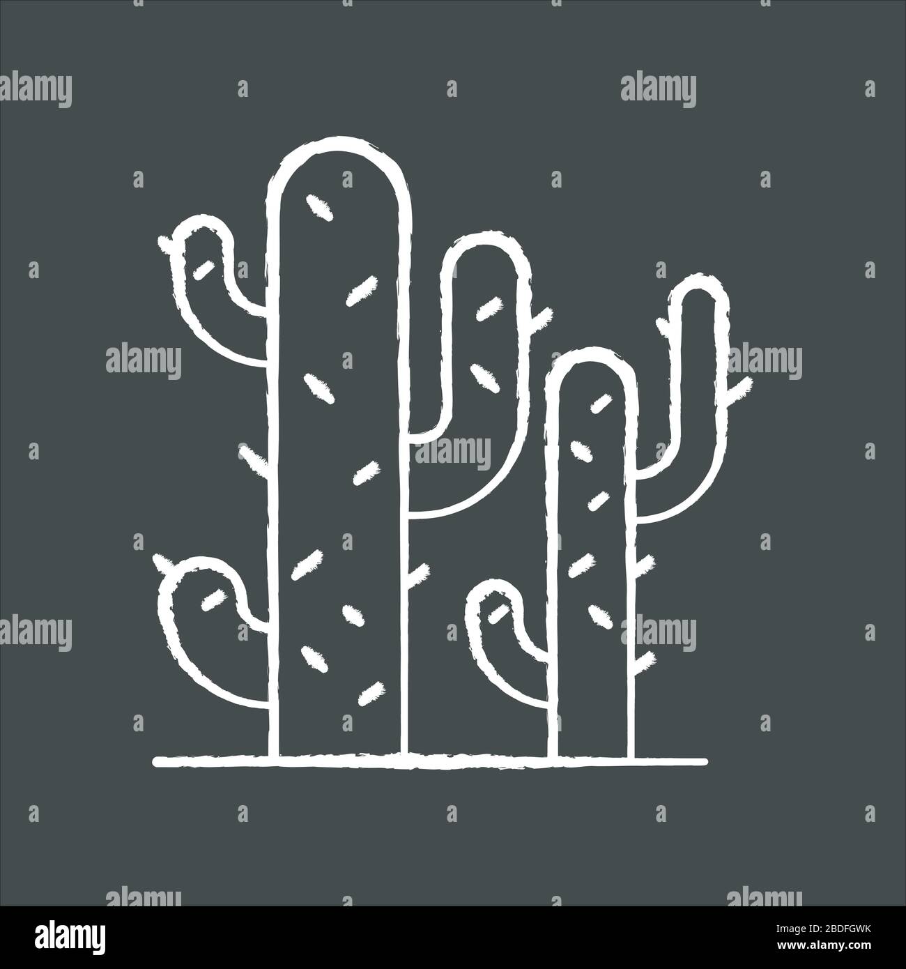 Cacti chalk white icon on black background. Desert plants. Saguaro ...