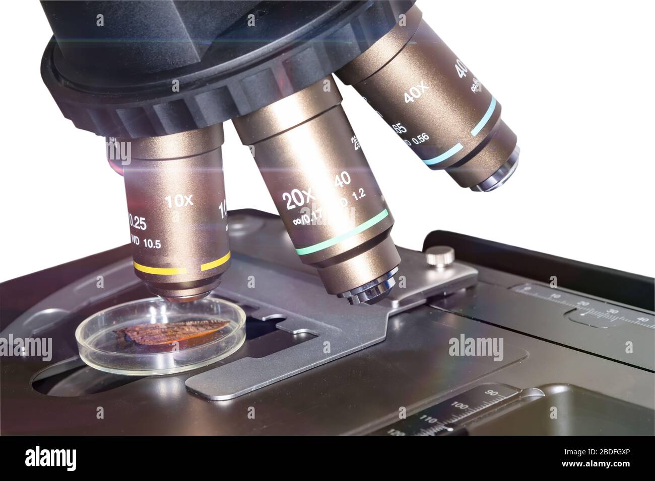 The optical microscope is used for planning, research experiments, and ...