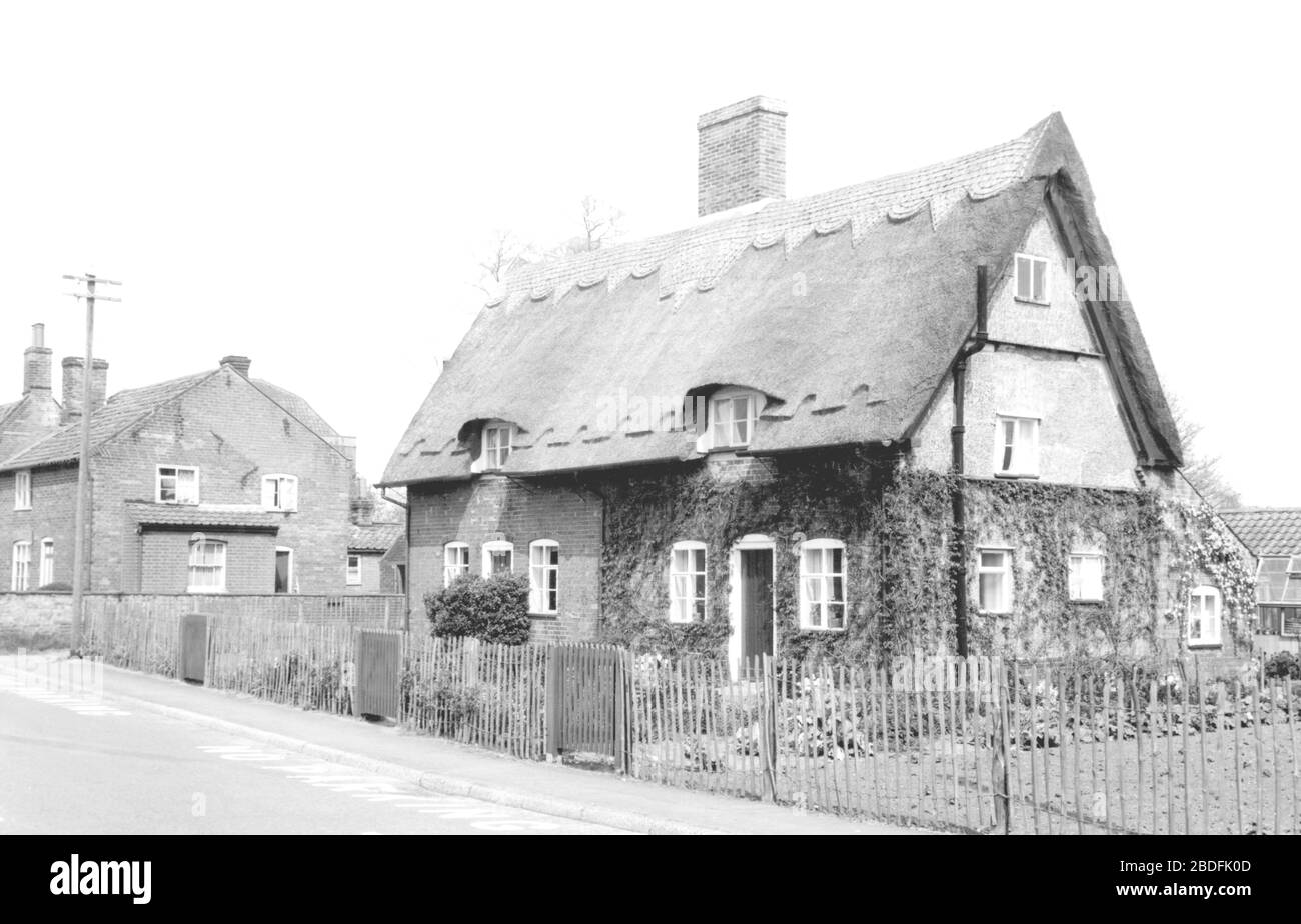 Wrentham, Thatch Cottage c1955 Stock Photo - Alamy