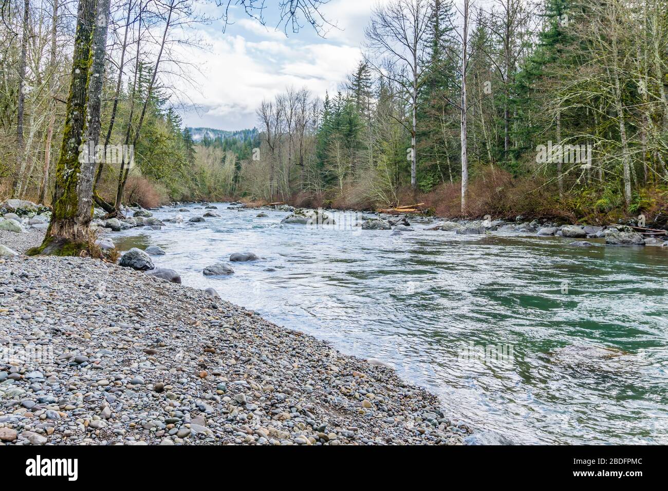 The Green River flows past trees at Kanaskat-Palmer State Park in ...