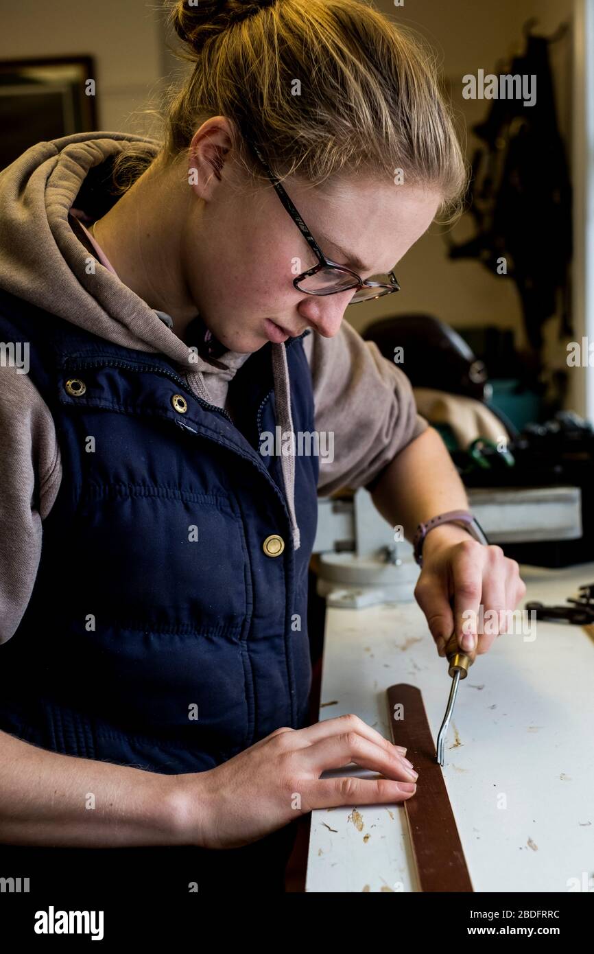 Female saddler standing in workshop, using hand tool on leather strap ...