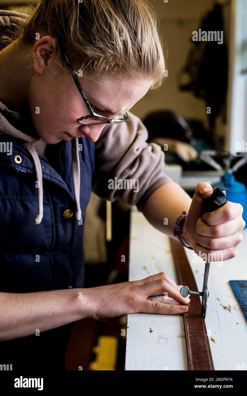 Female saddler standing in workshop, using hand tool on leather strap ...