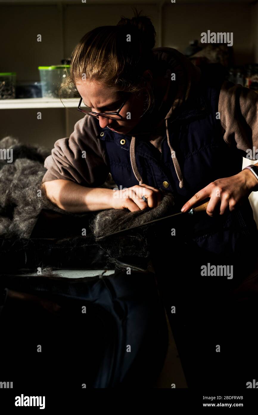 Female saddler standing in workshop, stuffing leather saddle with horse ...