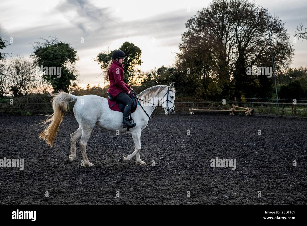 Young woman riding on white Cob horse in paddock Stock Photo - Alamy