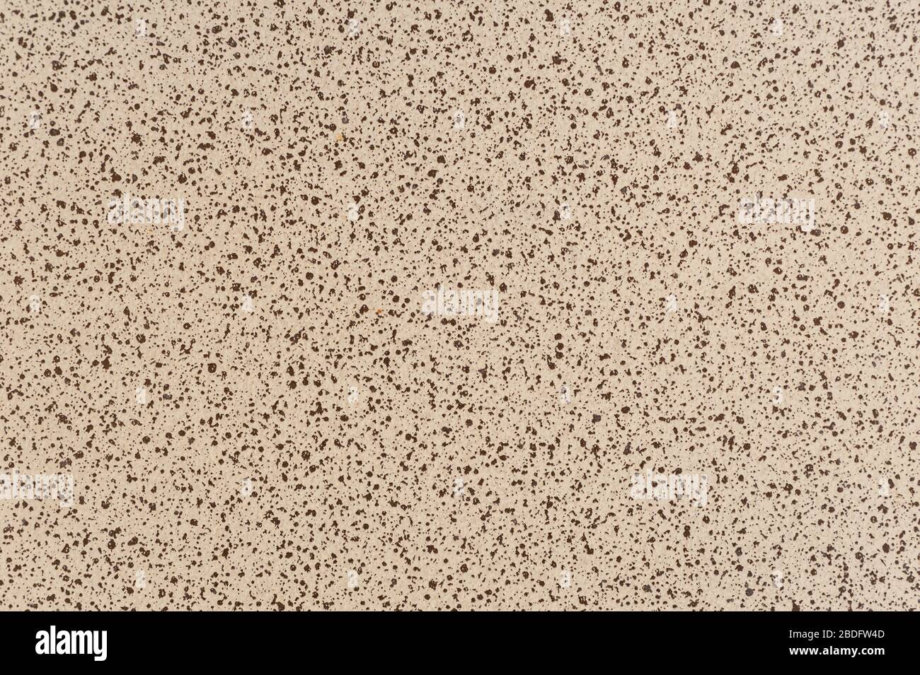 Quail bird eggs texture. Dotted on white background texture Stock Photo ...