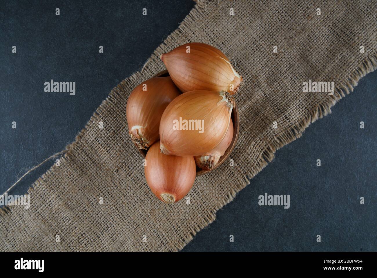 Cross Section Onion Root High Resolution Stock Photography and Images ...