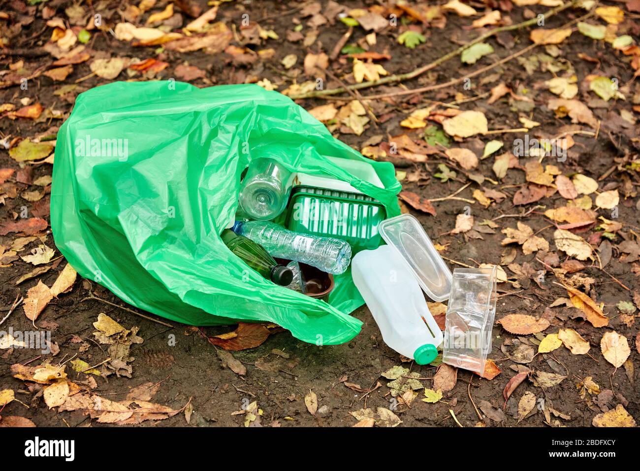 Plastic bag filled with plastic litter spilling on to woodland floor ...