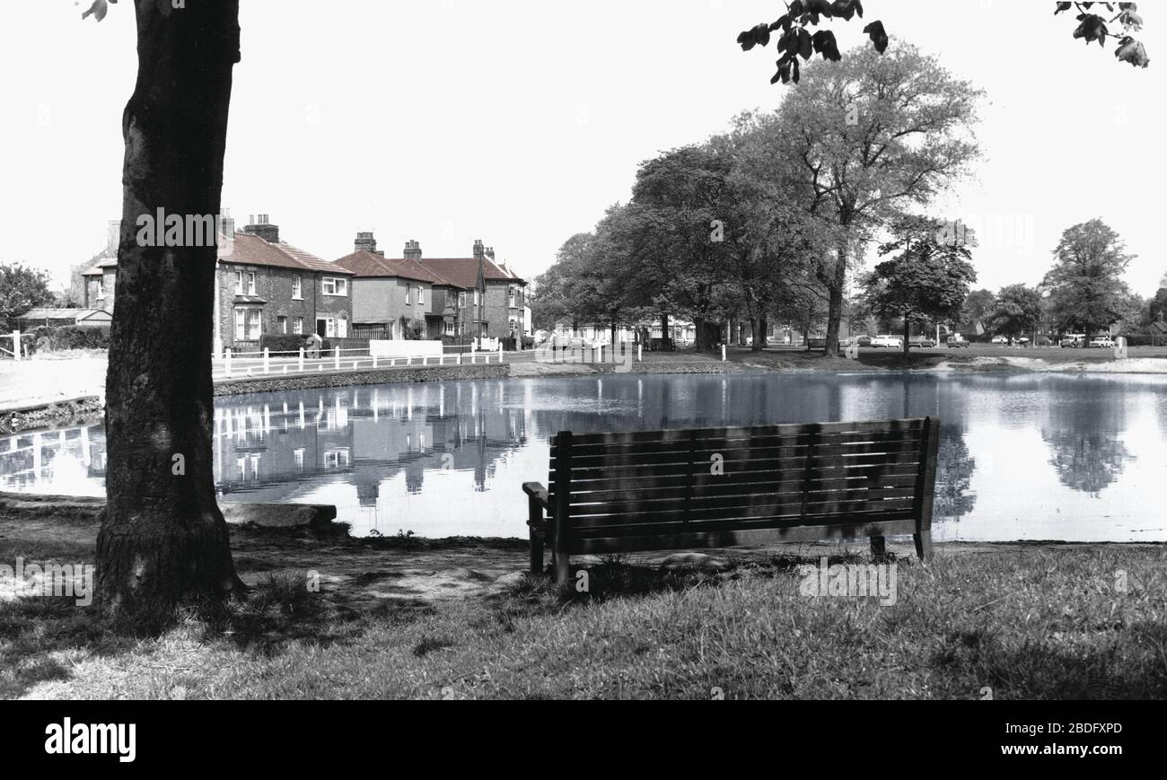Shenfield, the Common c1965 Stock Photo - Alamy