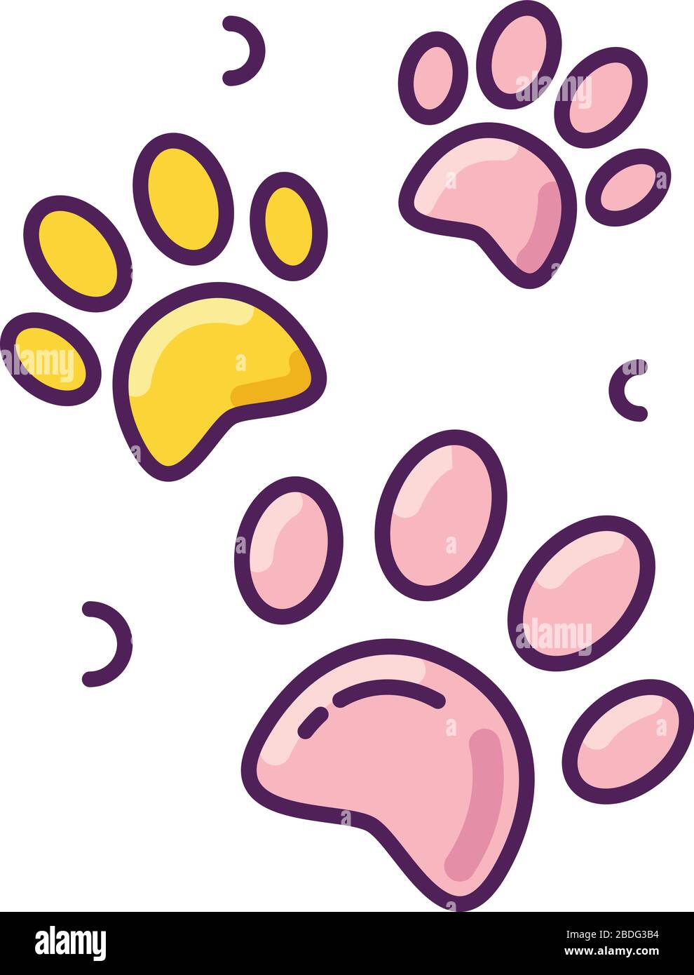 Why Are Puppy Paws Pink