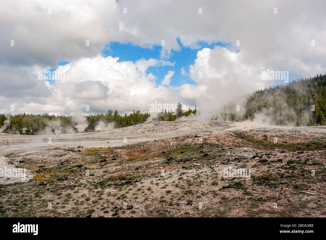 Steam coming from multiple geysers and hot springs in the Upper Geyser ...