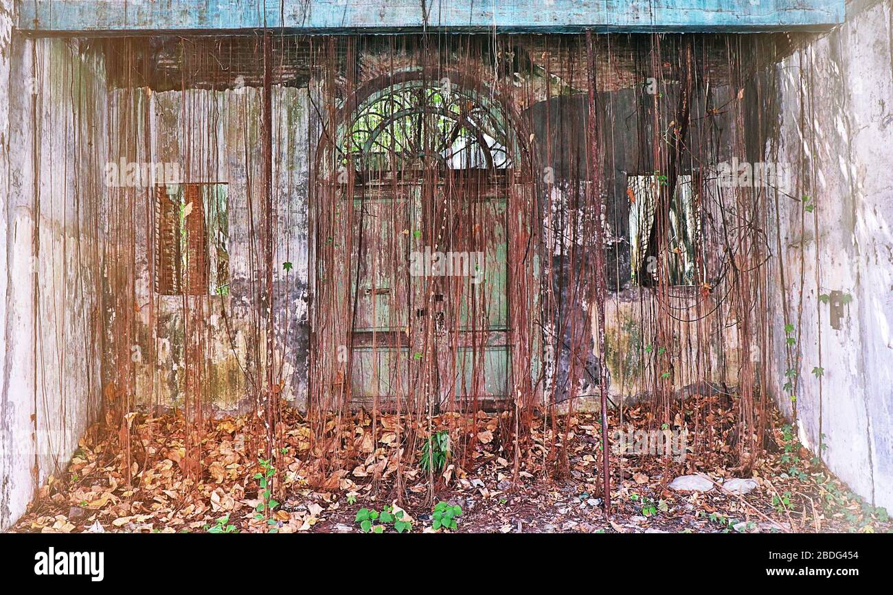 Old and rusty abandoned creepy house from front door Stock Photo - Alamy