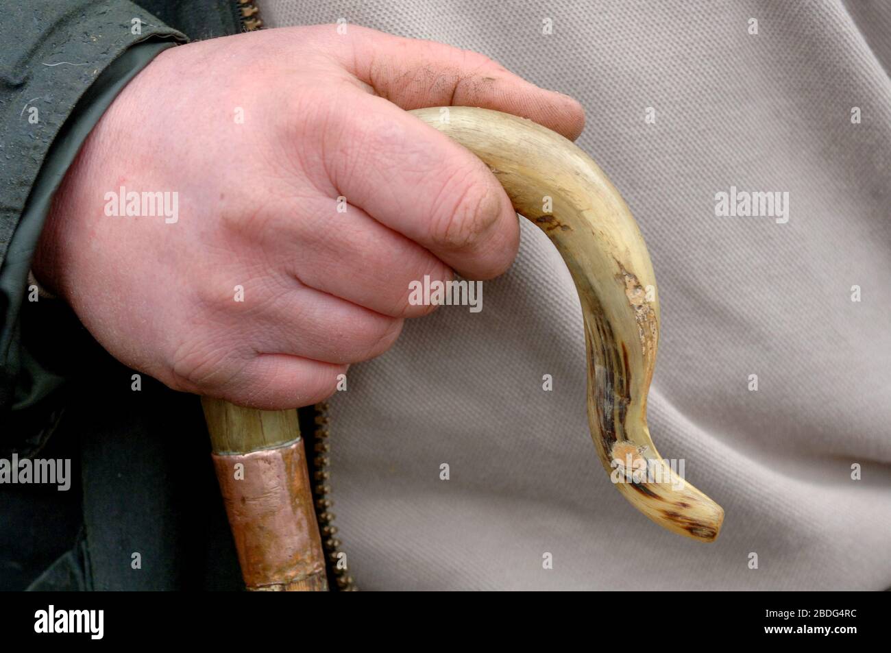 Close up of a farmers hand holding a shepherds crook made from a rams ...