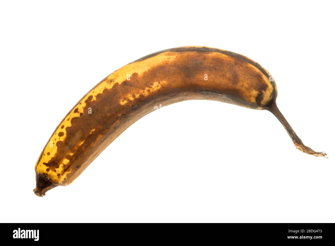 Overridpe Banana with skin going black on a clear white background ...