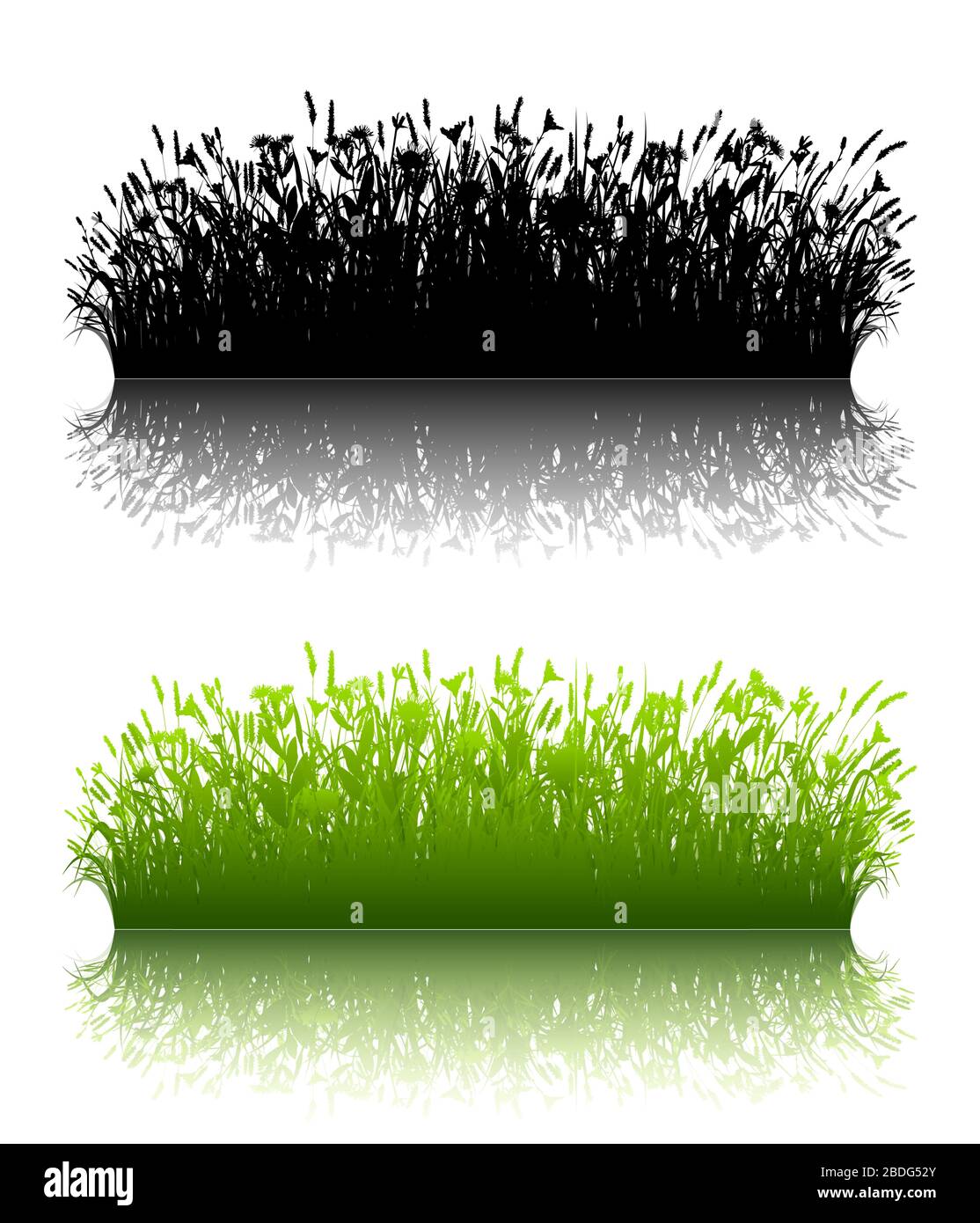Vector grass borders set on white background Stock Vector Image & Art ...