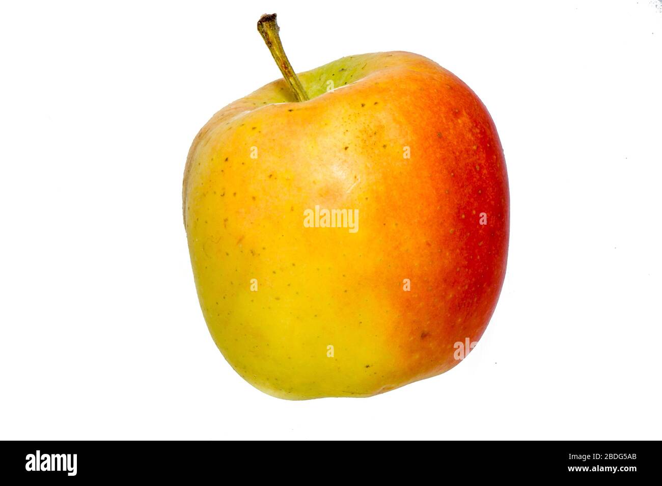 Fresh apple on a clean white background Stock Photo - Alamy