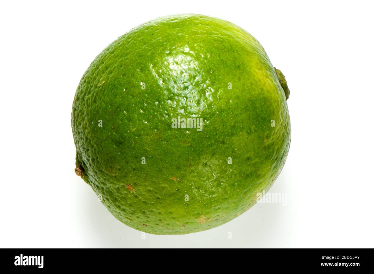 Ripe Lime set on a clear white background Stock Photo - Alamy