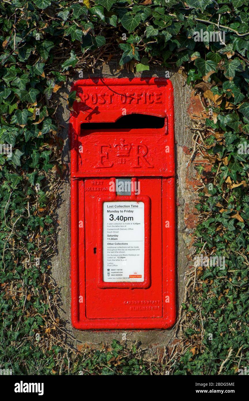 Red post box built into a wall, surrounded by Ivy in rural Cumbria, UK ...