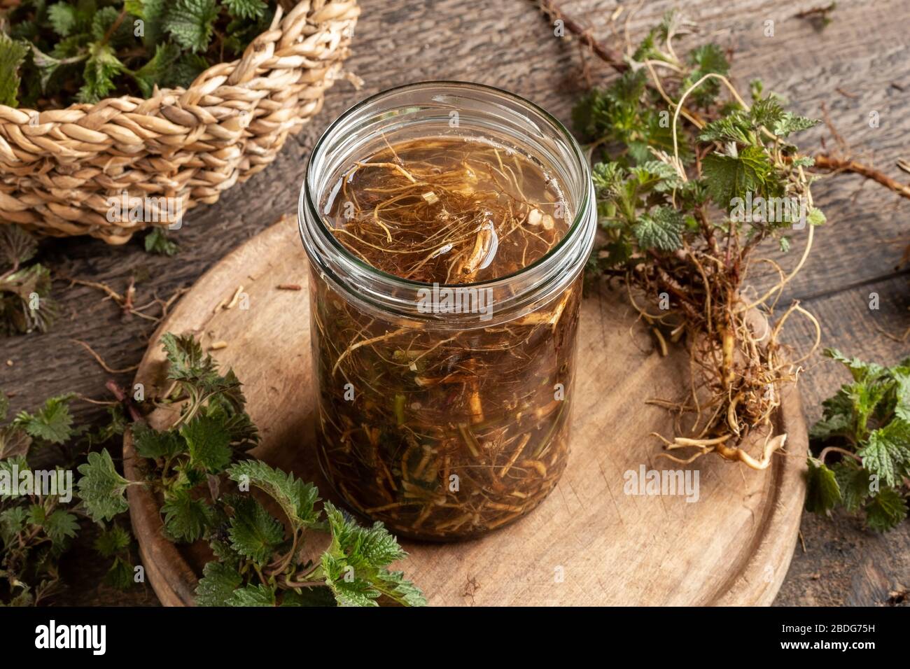 Nettle twig hi-res stock photography and images - Alamy