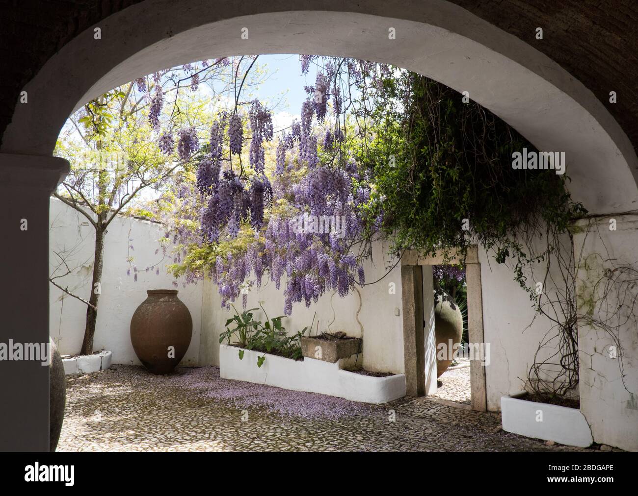 Borba Architecture High Resolution Stock Photography and Images - Alamy
