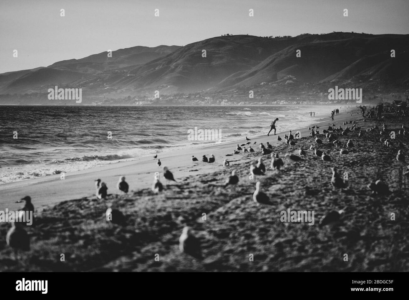 General Views in Back and White of Zuma Beach on 07/09/2019 in Malibu ...