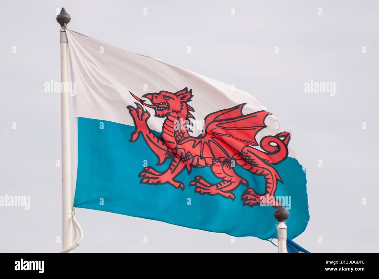 A welsh flag hi-res stock photography and images - Alamy