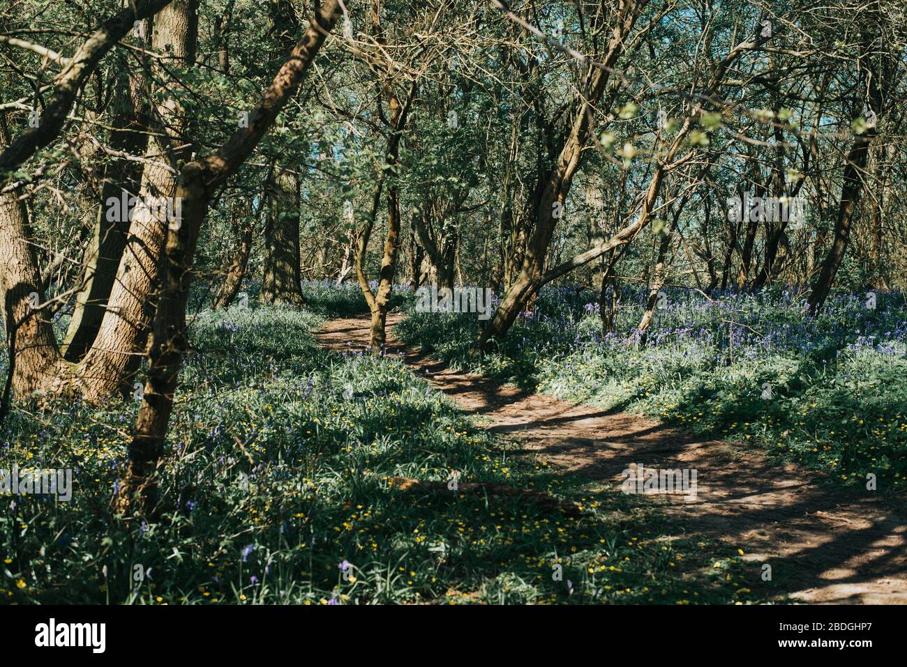 Thurlby village hi-res stock photography and images - Alamy