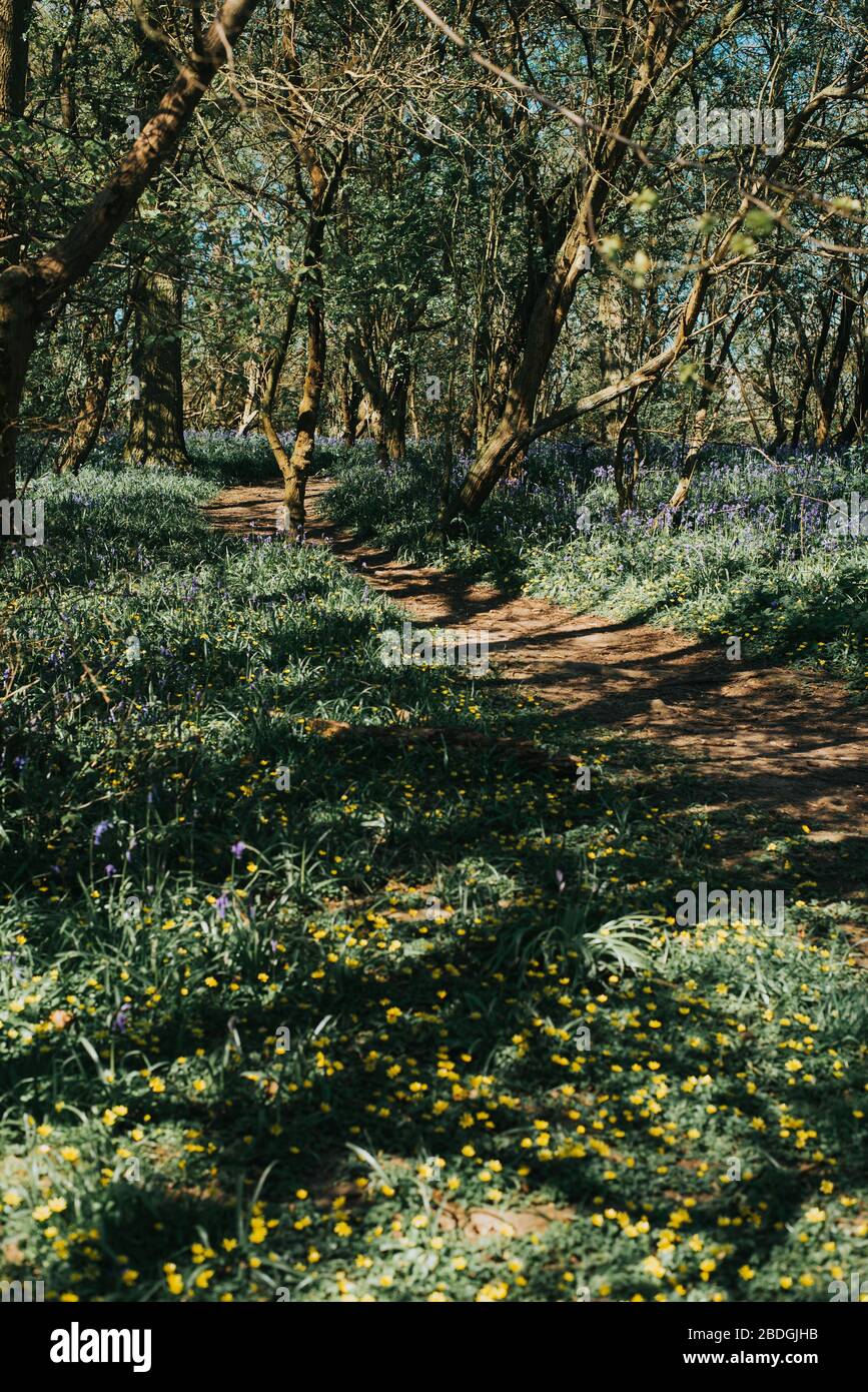 Thurlby village hi-res stock photography and images - Alamy