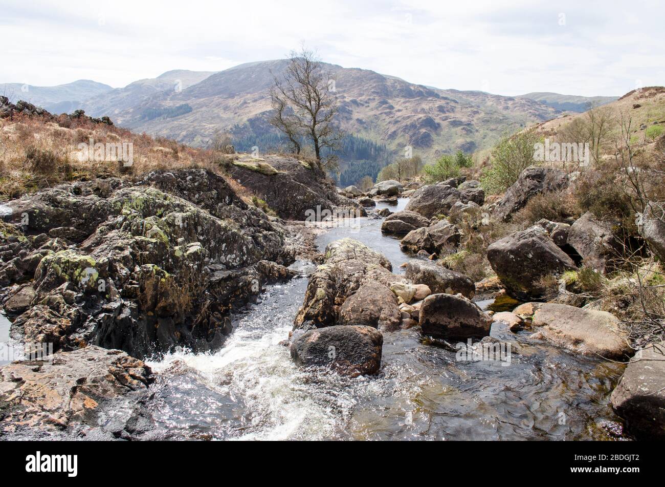Stream flowing from river creek hi-res stock photography and images - Alamy