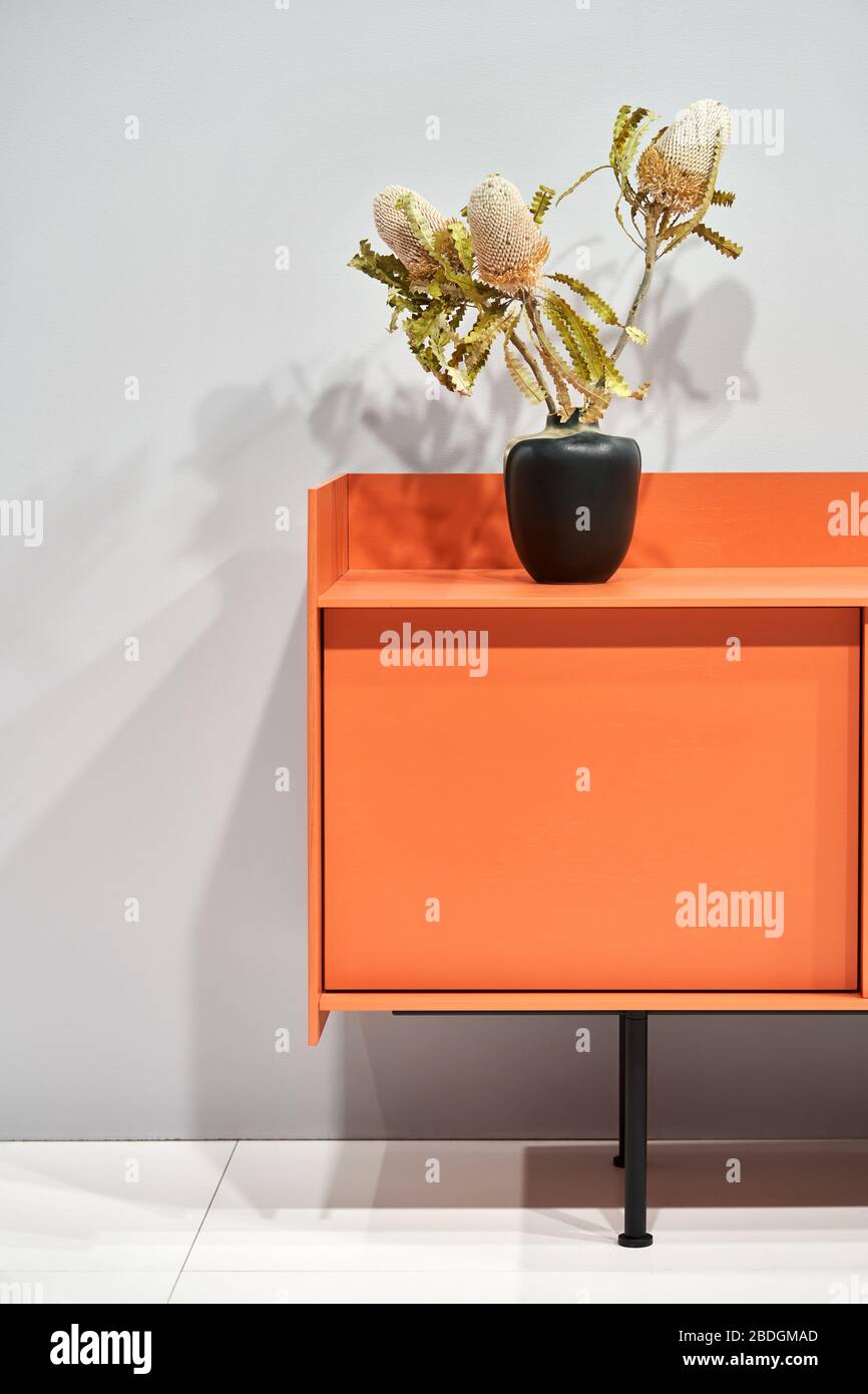 Luminous room with colorful stand with plants Stock Photo - Alamy