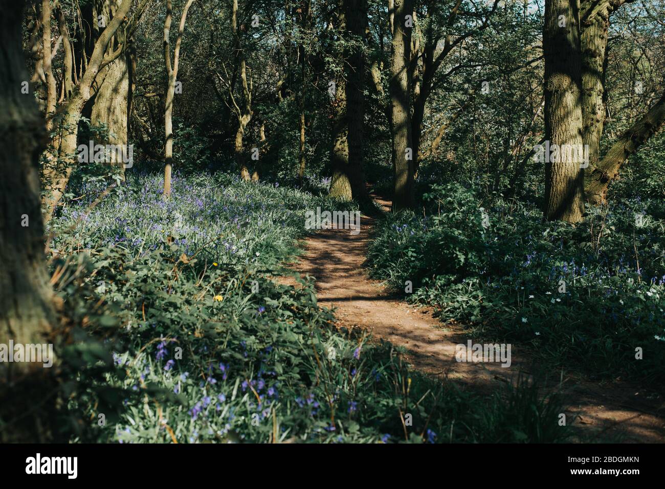 Thurlby village hi-res stock photography and images - Alamy