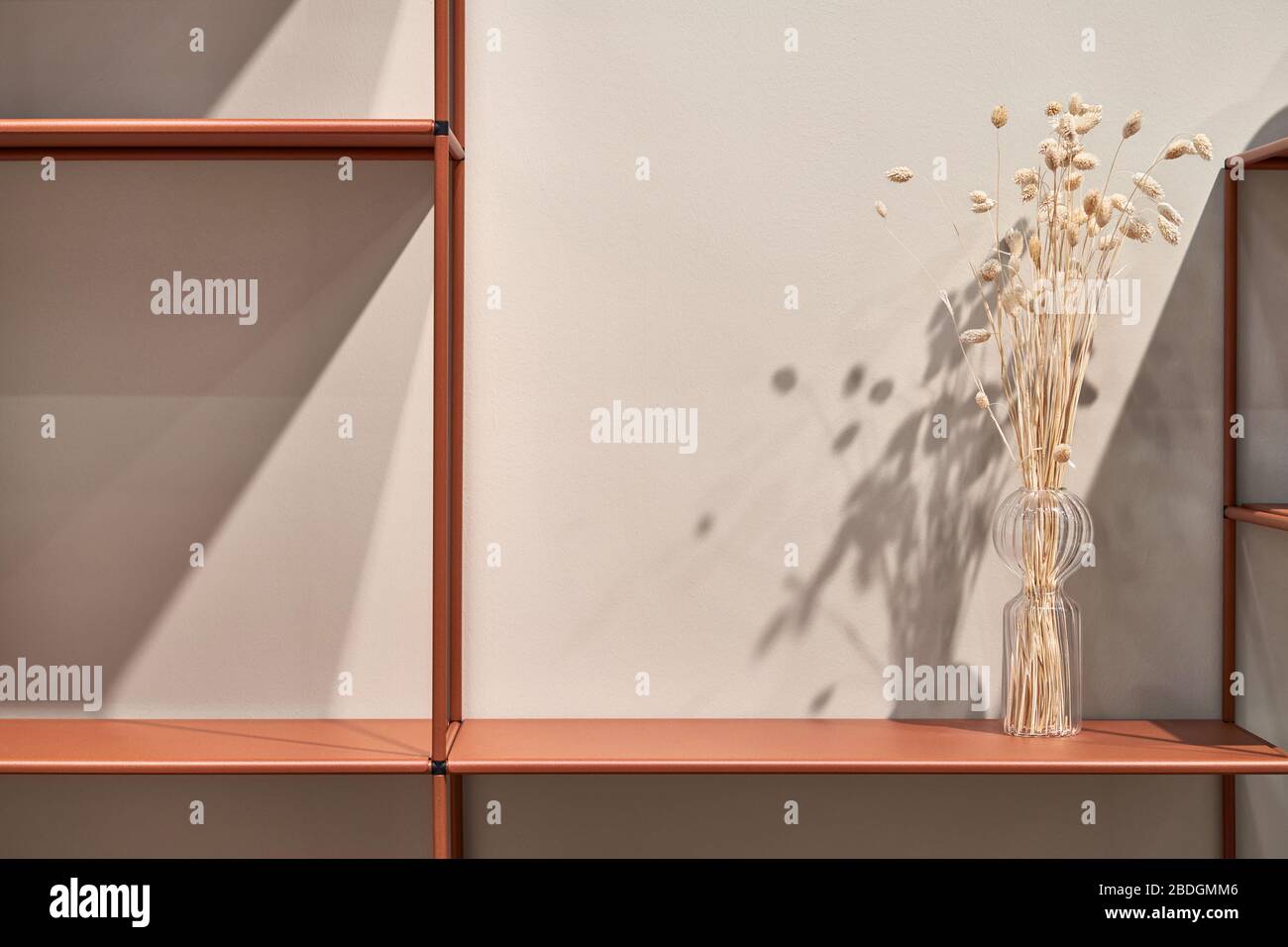 Luminous room with light wall and colorful shelves Stock Photo - Alamy