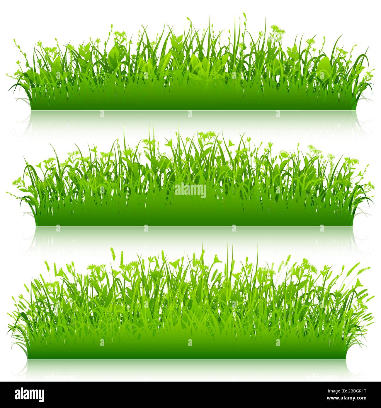Green grass borders set on white background vector Stock Vector Image ...