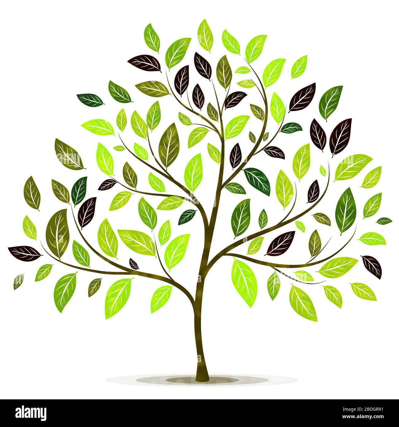 Green tree with leaves on white background vector Stock Vector Image ...