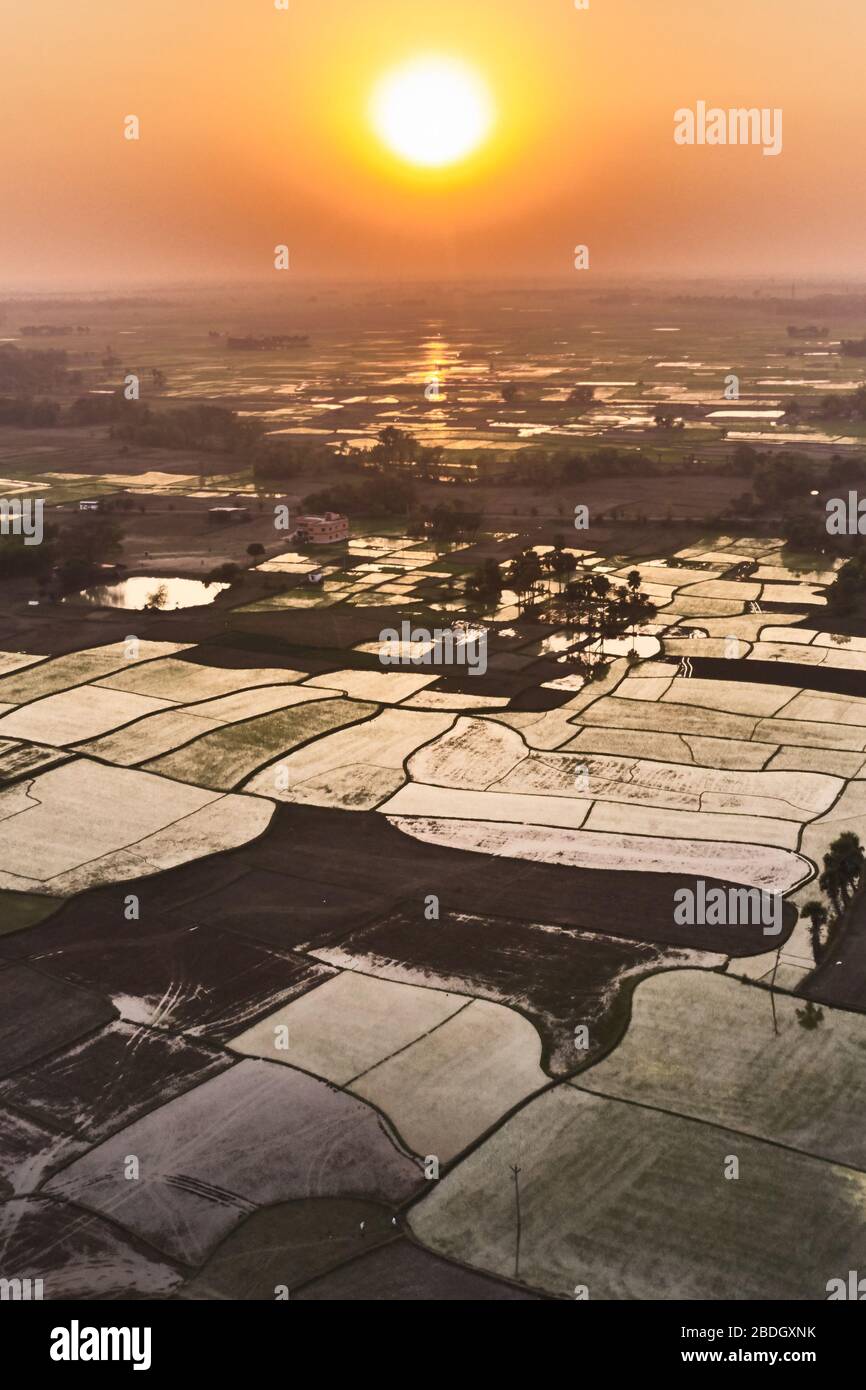 Picturesque asian rice fields at sunset, aerial drone view Stock Photo ...