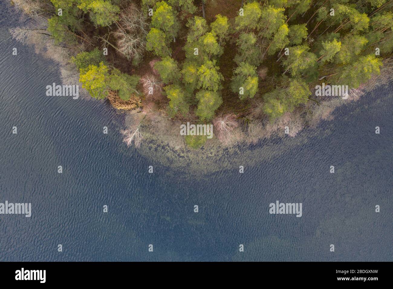 Drone view of lake shore during summer day Stock Photo - Alamy