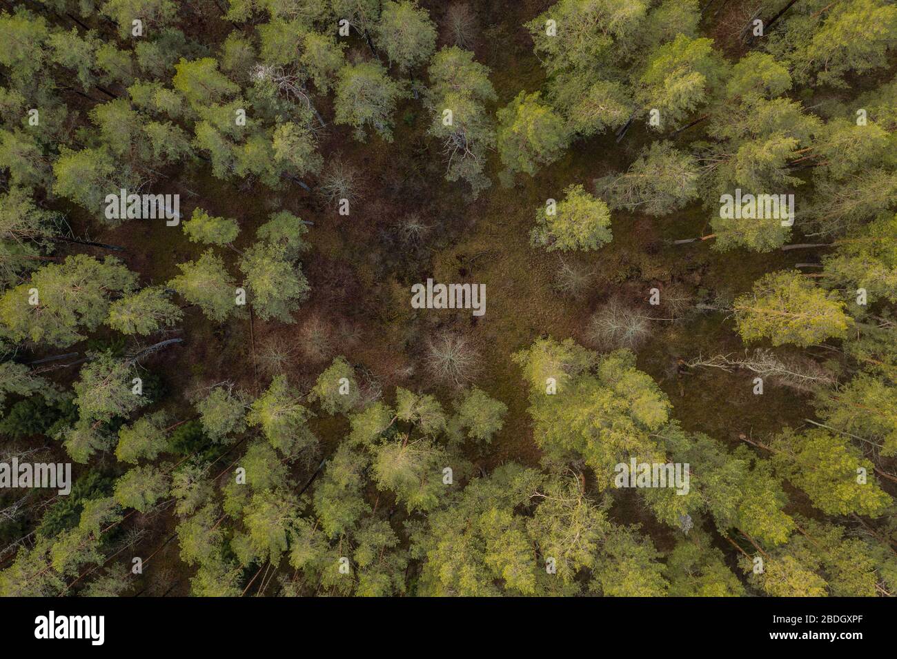 Top down overview hi-res stock photography and images - Alamy