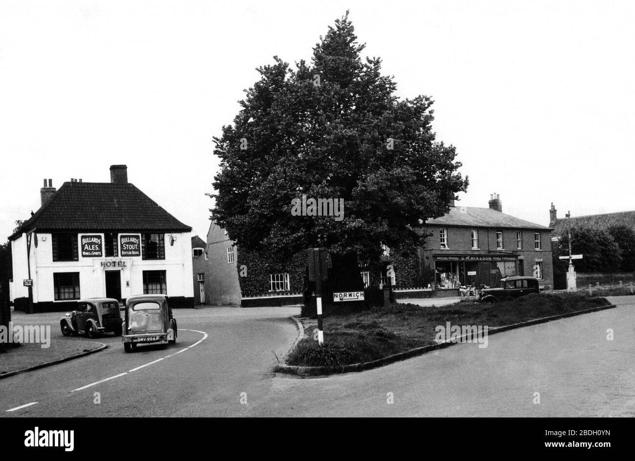 Acle, the Folly Tree c1950 Stock Photo - Alamy
