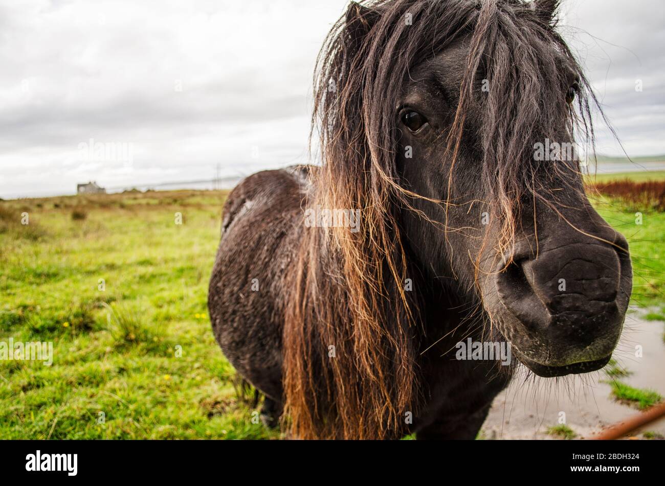 Highland ranch hi-res stock photography and images - Alamy